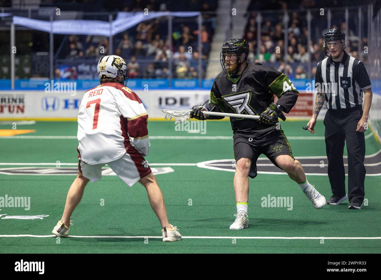 Firewolves hi-res stock photography and images - Alamy