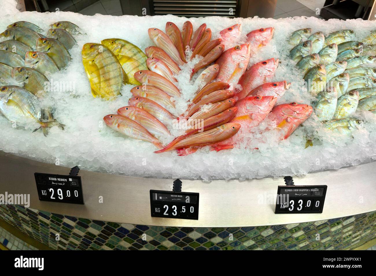 Fish on sale,Old Port fish market,Qatar, Doha Stock Photo - Alamy