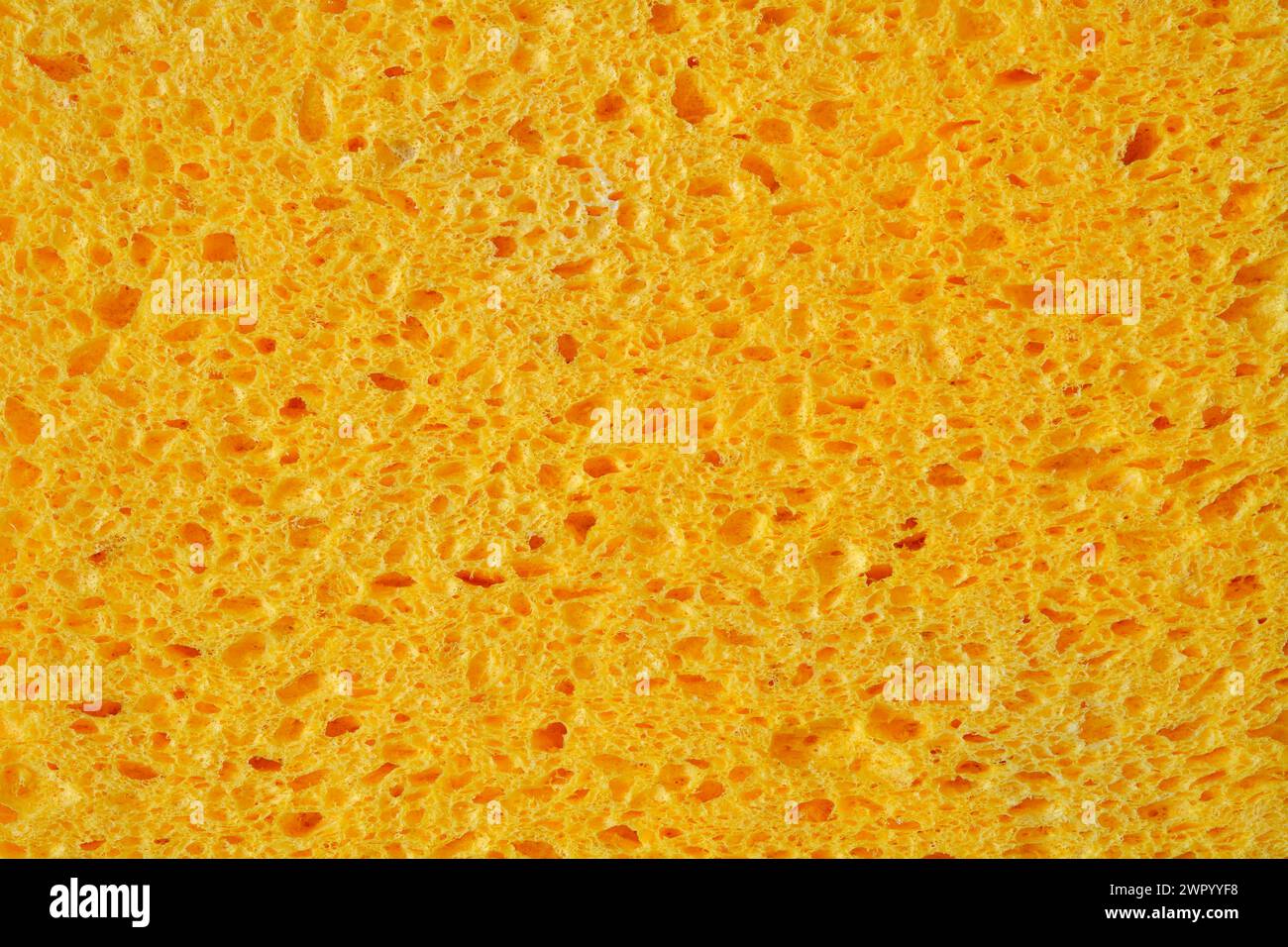Yellow-orange sponge with pores texture background for graphics. Close ...