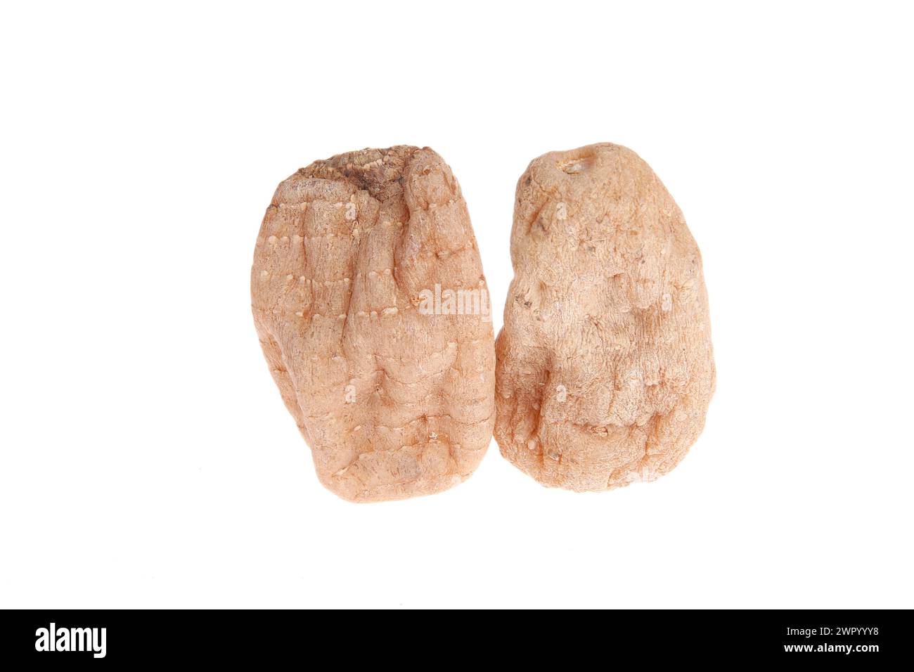 Tianma is isolated on a white background, with Chinese herbal medicine ...
