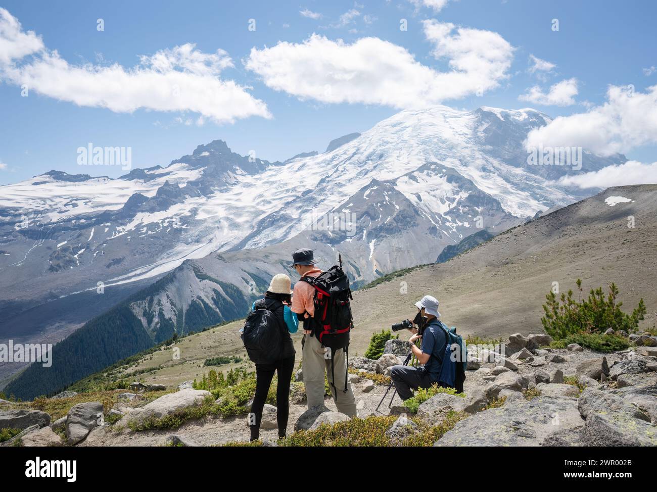 Three people hiking the Sunrise Trai. Mt Rainier in the background. Mt ...