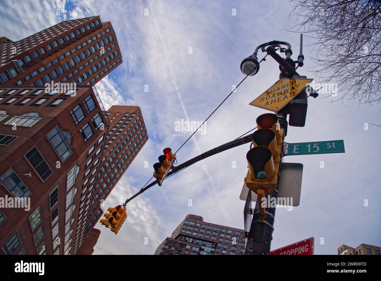typical shots of manhattan and new york life, traffic signs, squirrels ...
