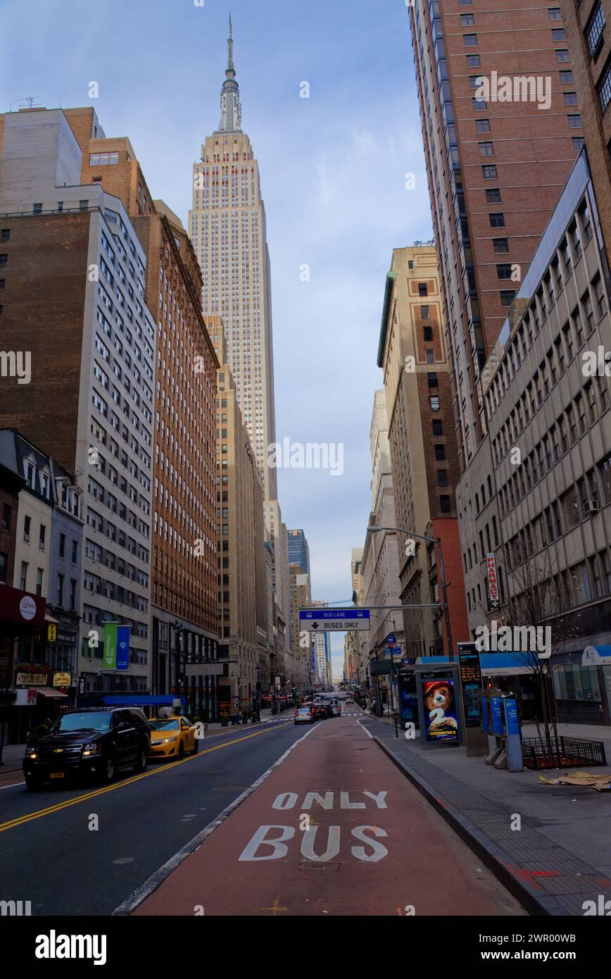 typical shots of manhattan and new york life, traffic signs, squirrels ...