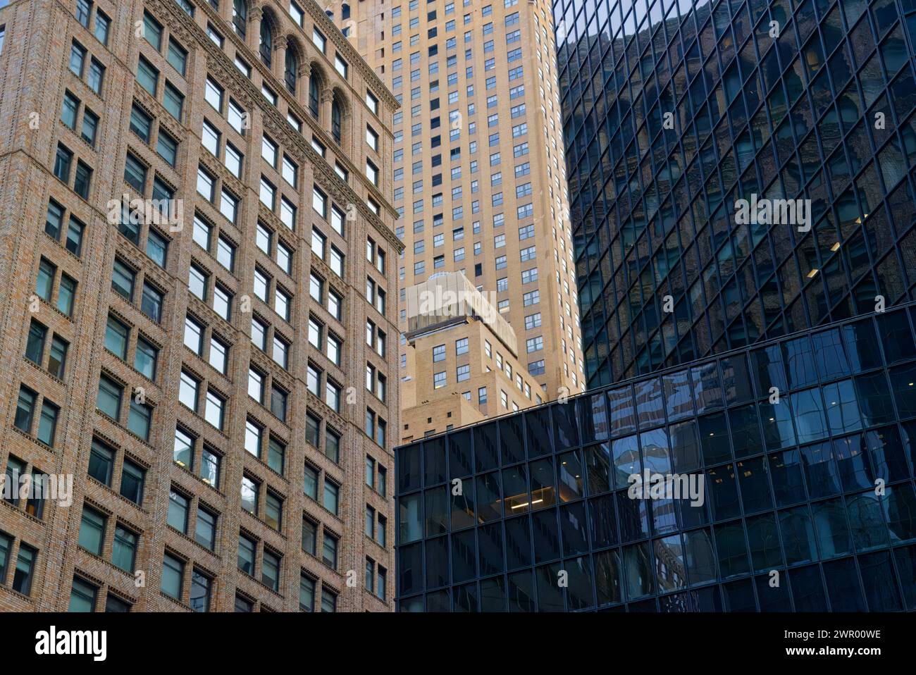 typical shots of manhattan and new york life, traffic signs, squirrels ...