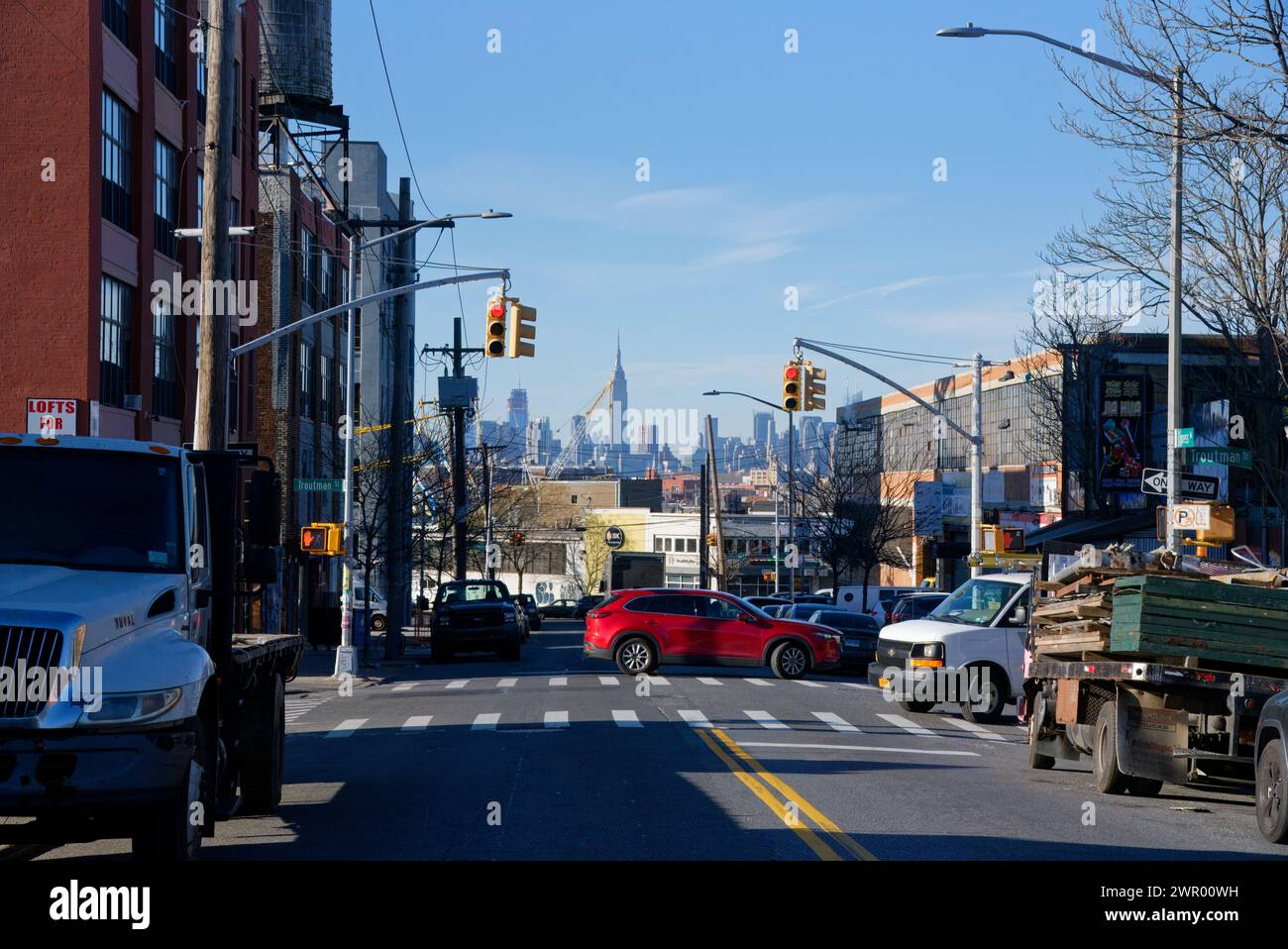 typical shots of manhattan and new york life, traffic signs, squirrels ...
