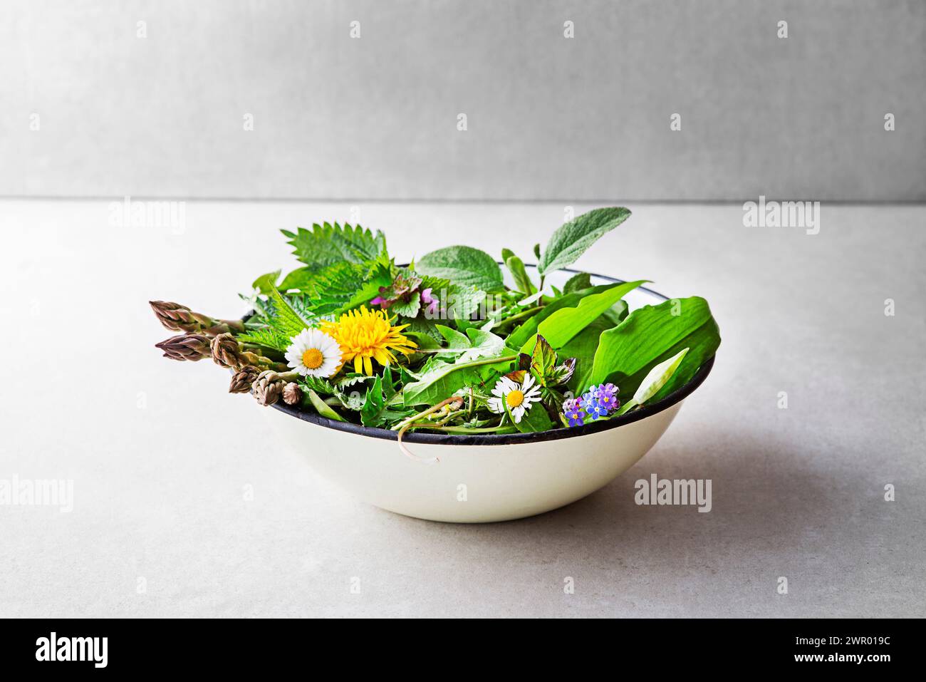 Wild garlic, nettle, dandelion and other medicinal herbs and wild ...