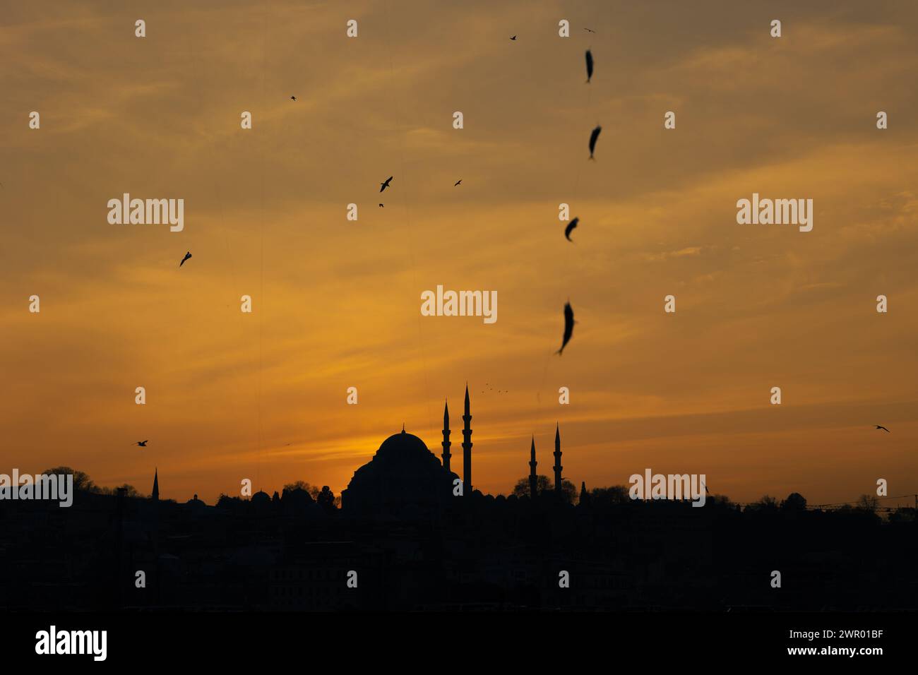 Silhouette of Suleymaniye Mosque and fishes on the fishing line ...