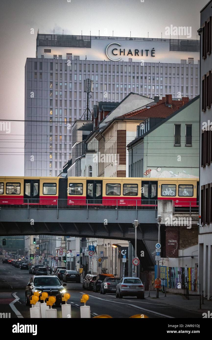 Berlin Mitte , Universitätsklinikum CharitÃ / Charite Campus Mitte Luisenstraße - 10.03.2024 ...