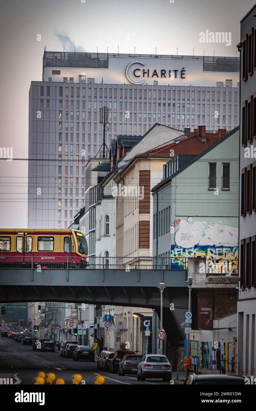 Berlin Mitte , Universitätsklinikum CharitÃ / Charite Campus Mitte Luisenstraße - 10.03.2024 ...