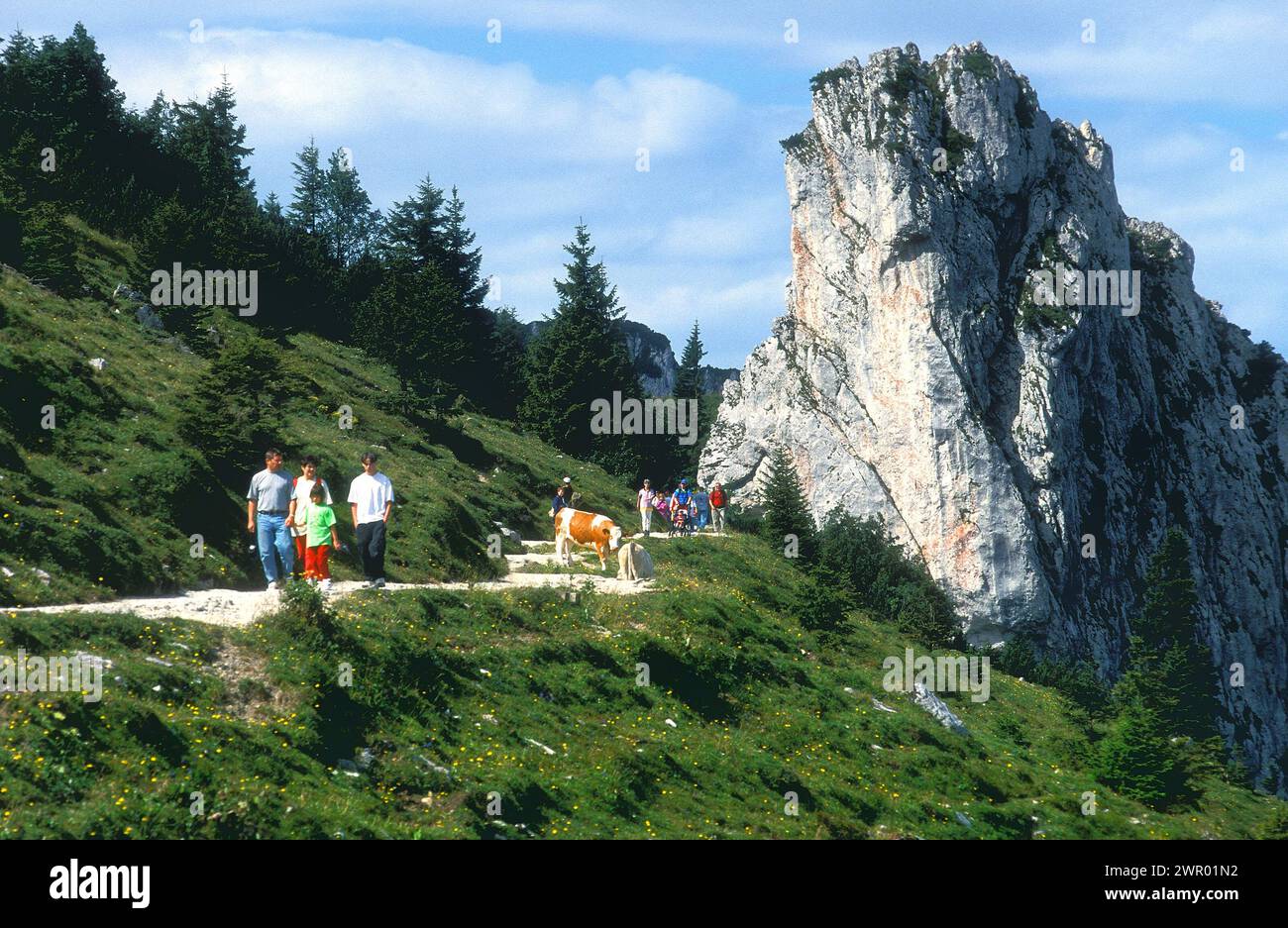 People walking on pathway through the Bavarian Alps, Bavaria, Germany ...
