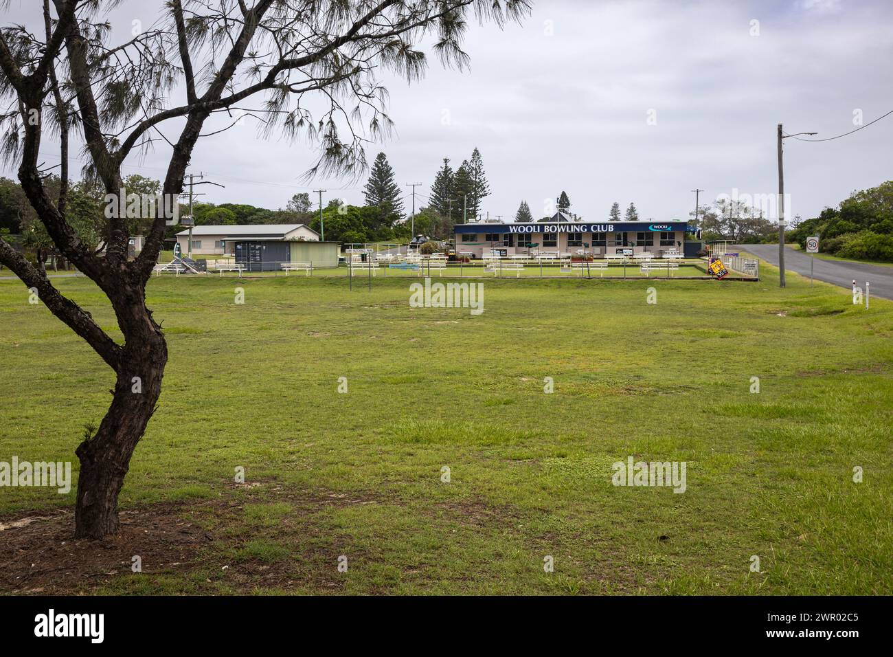 a large tree in a grassy field with old local pub in wooli nsw ...