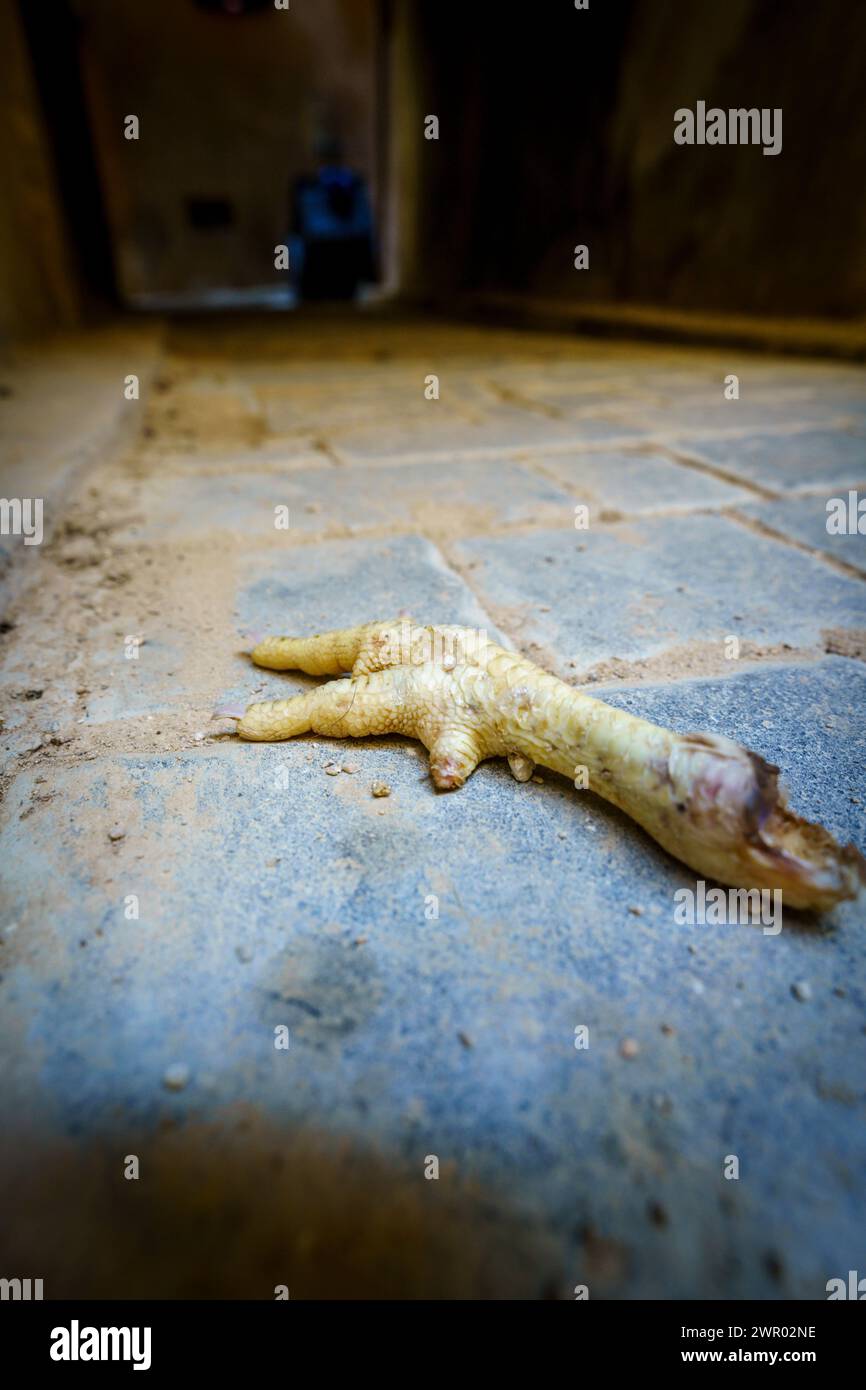 sectioned chicken leg in an alley Fez, morocco, africa Stock Photo - Alamy