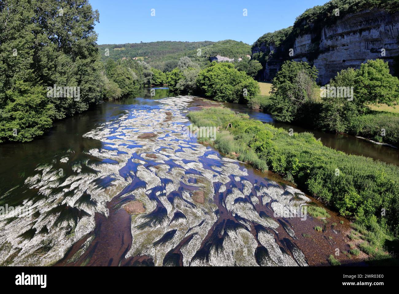 The Vézère river flows in front of the cliff in which the troglodyte ...
