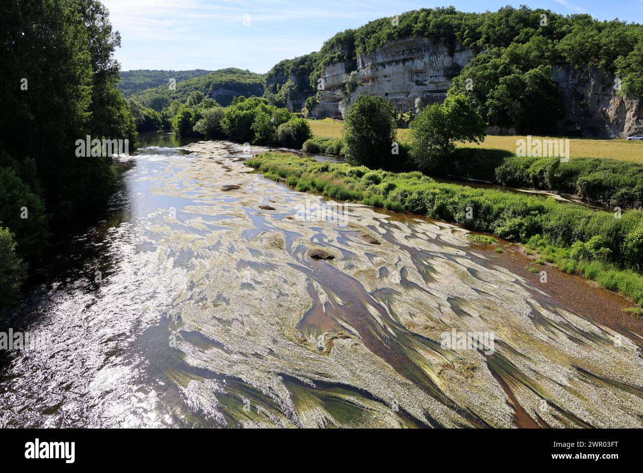 The Vézère river flows in front of the cliff in which the troglodyte ...