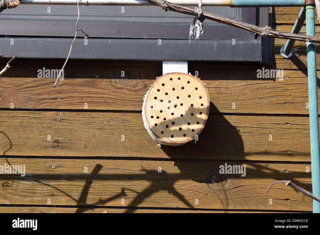 bee holes in wood Stock Photo - Alamy