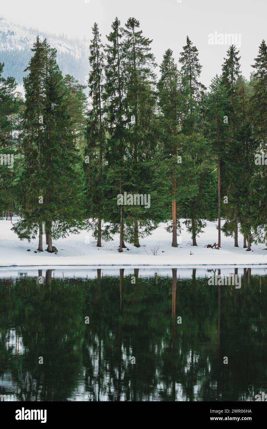 Beauty fading hi-res stock photography and images - Alamy