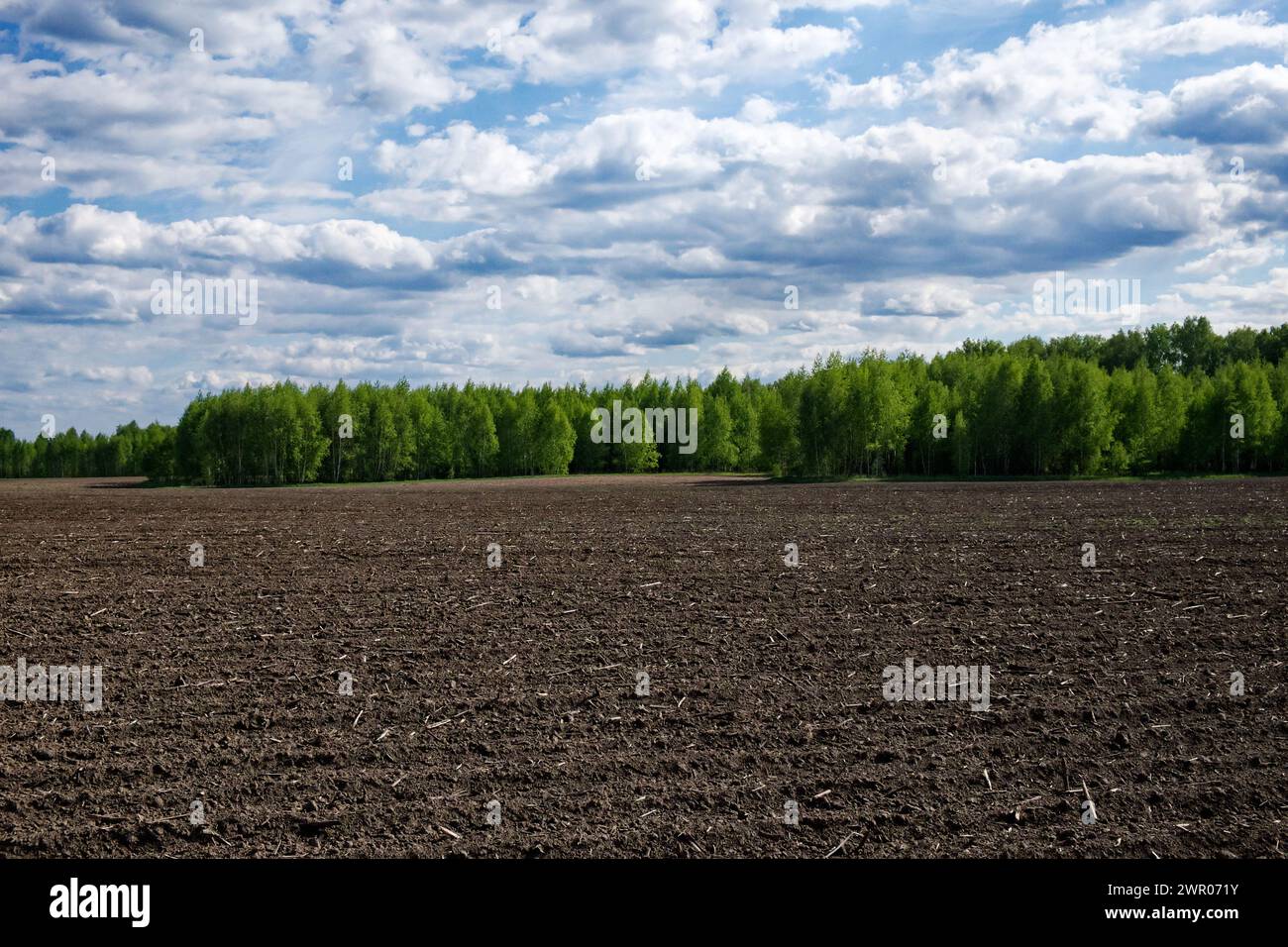The image shows a barren field, green trees in the distance, and a ...