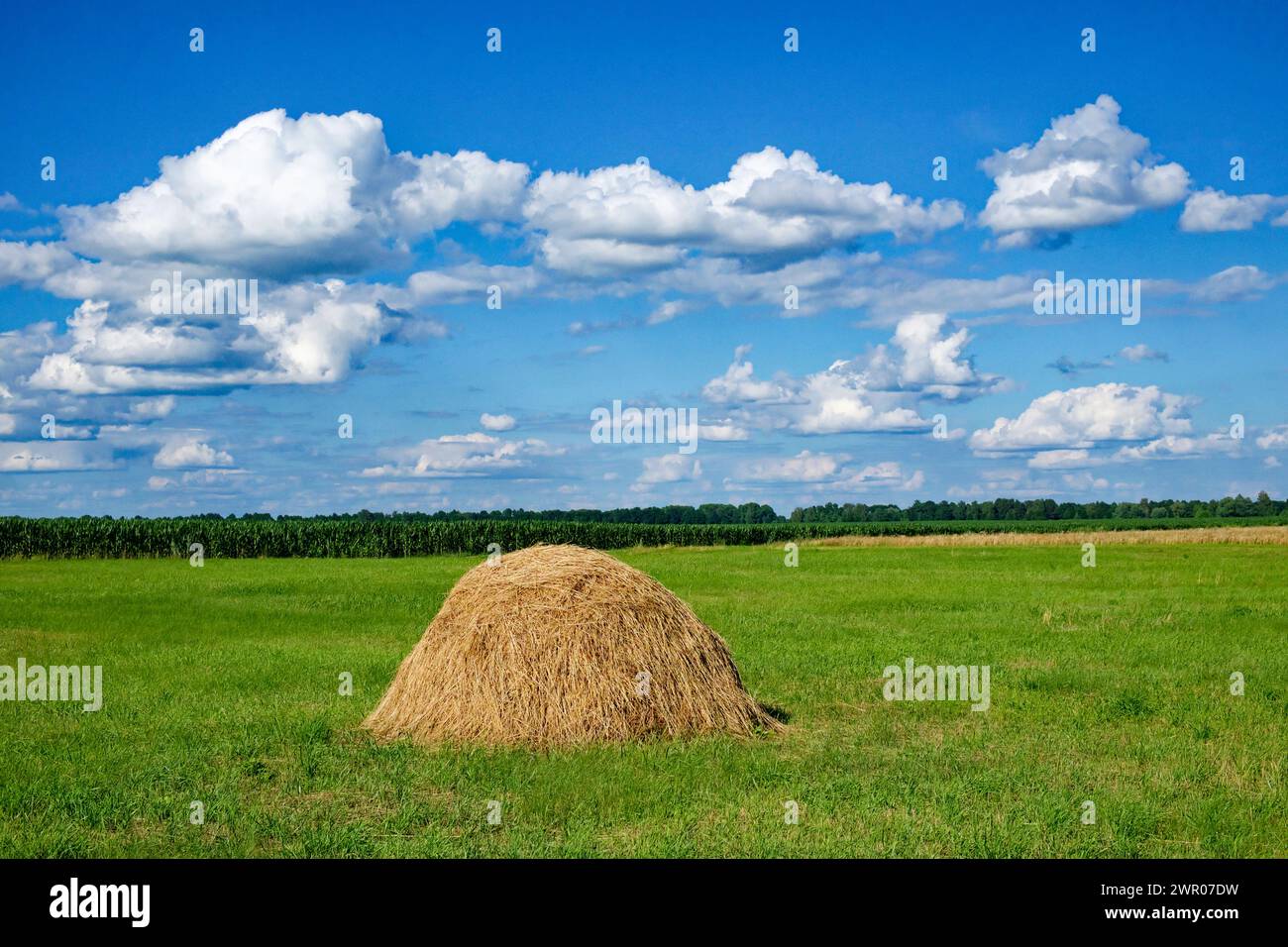 A haystack sits in a green field under a blue sky dotted with fluffy ...