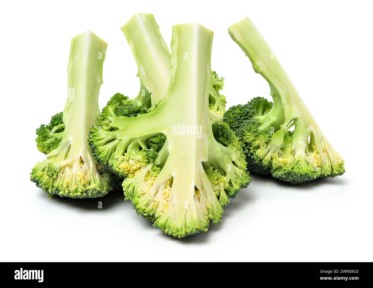 Broccoli vegetable on white background Stock Photo - Alamy