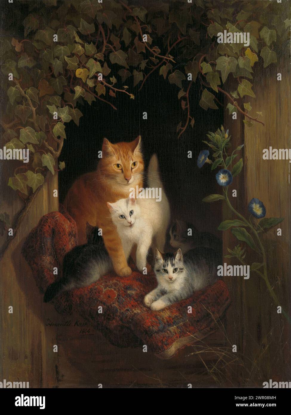 Henriette ronner cat hi-res stock photography and images - Alamy