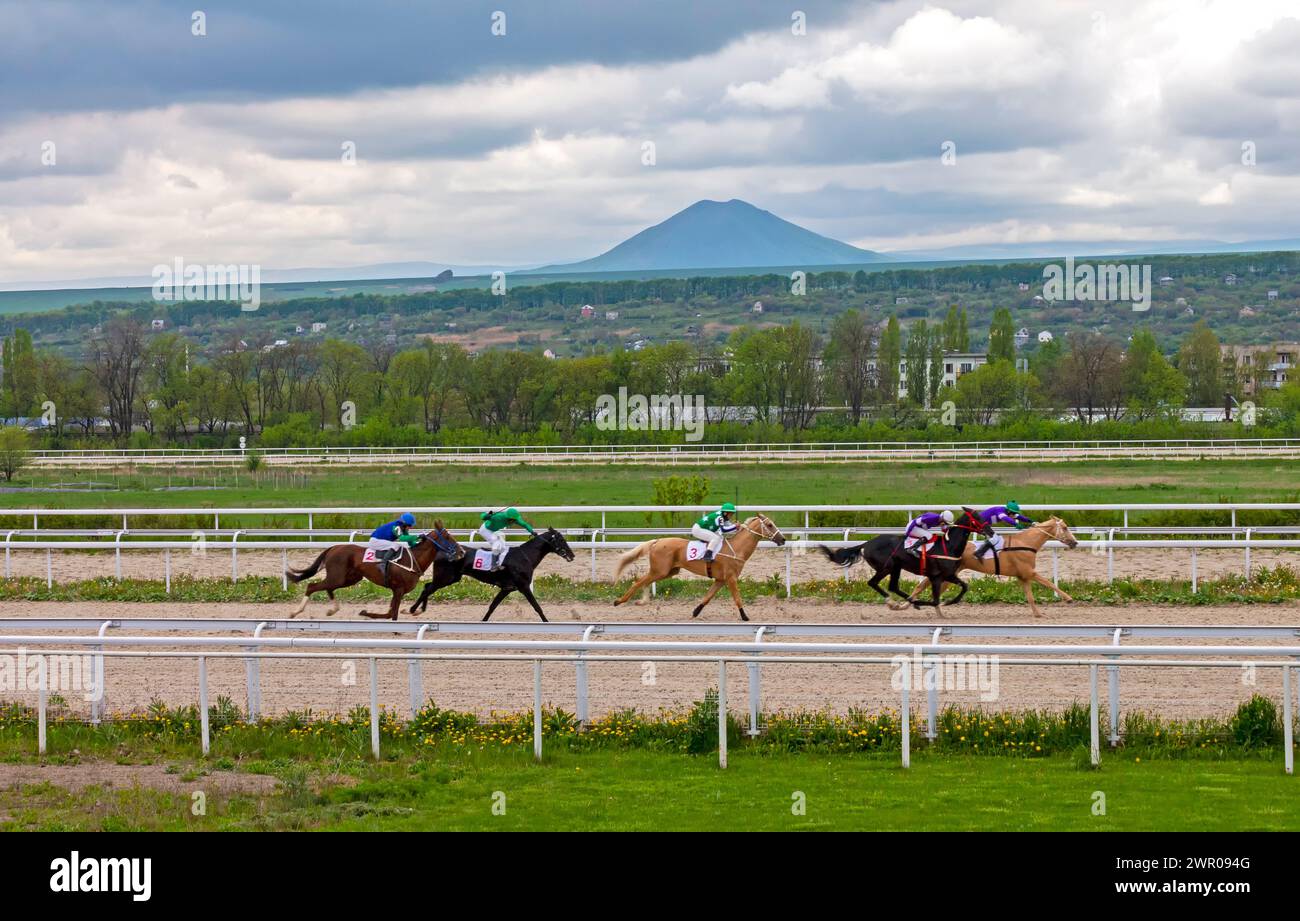 The horse race for the Summer prize at the Pyatigorsk hippodrome Stock ...