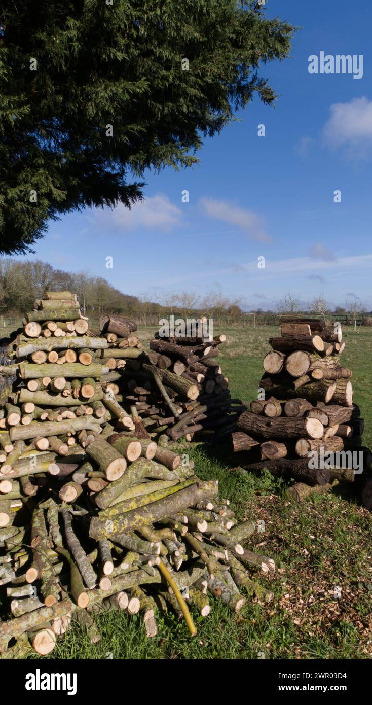 Log piles in a field Stock Photo - Alamy