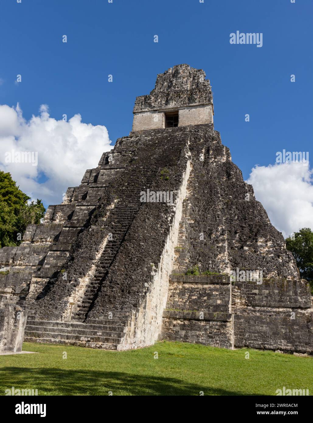 Temple I or gran jaguar at Tikal National Park, ancient mayan ruins in ...
