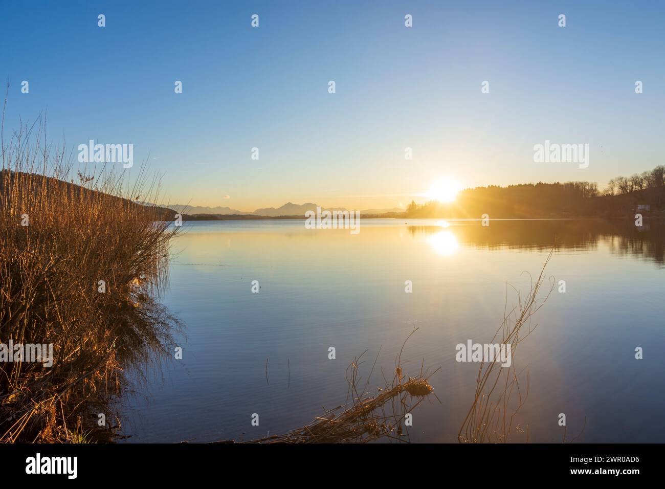 Neumarkt am Wallersee: lake Wallersee at sunset in Flachgau, Salzburg ...