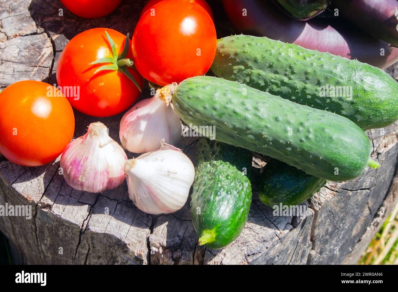 Colorful juicy vegetables crop mix Stock Photo - Alamy