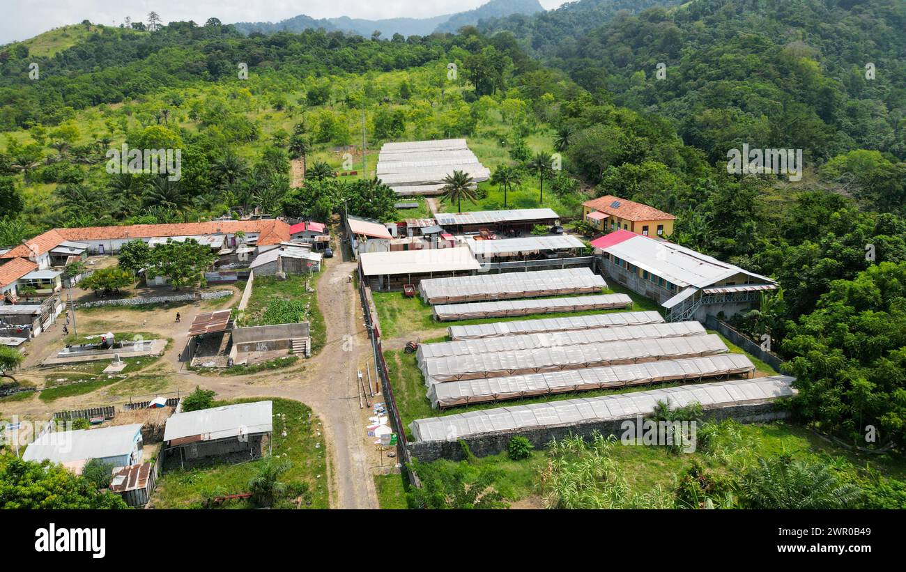 Greenhouse rooftop hi-res stock photography and images - Alamy
