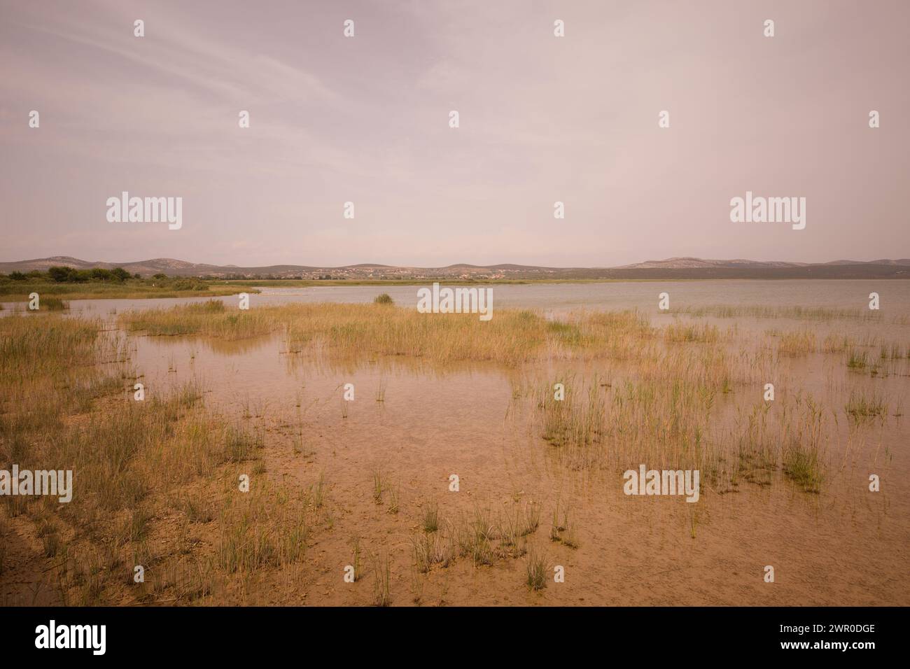 Croatian bird reservation and stopover during autumn migration Stock ...