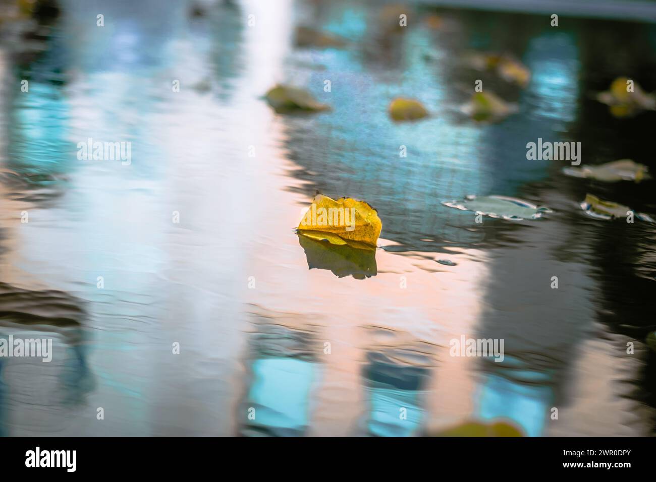“Springtime Splendor: Israel’s in Bloom” Stock Photo - Alamy