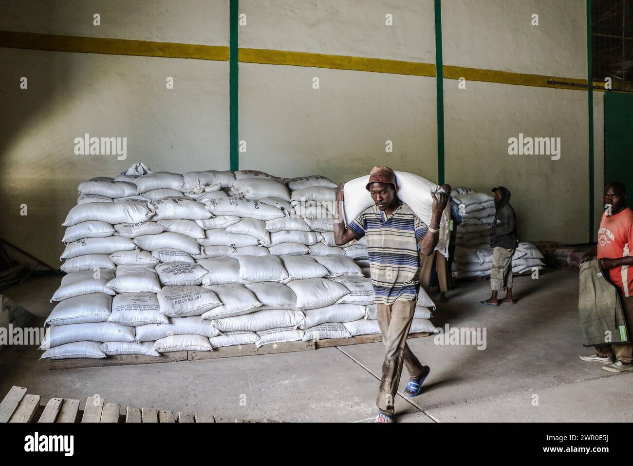 Workers carry sacks of rice and beans from the National Cereals and ...