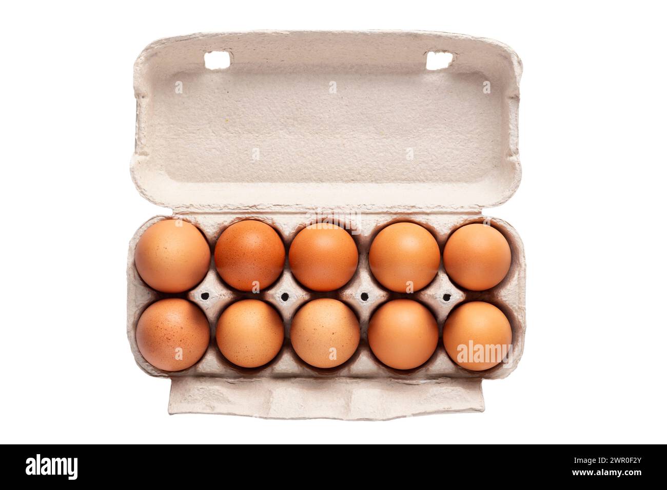 Ten brown eggs in a carton package isolated in white background. File ...