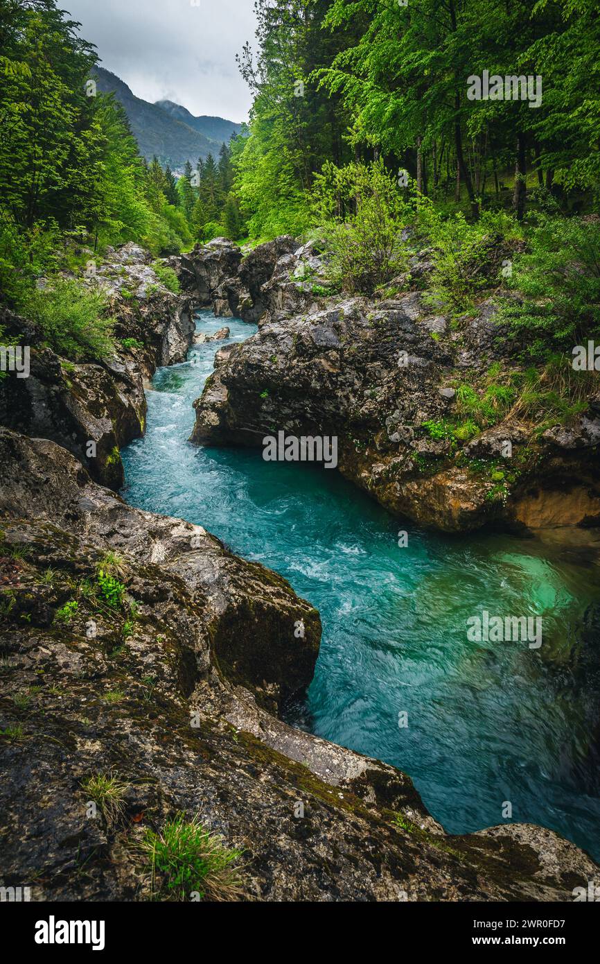 One of the most famous river in Slovenia. Great recreation place and ...