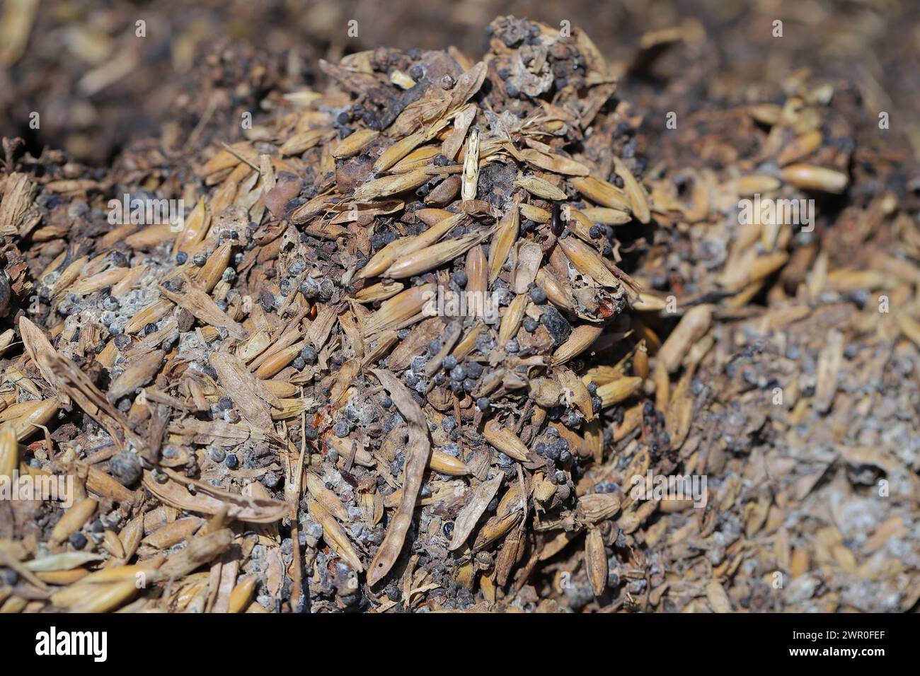 Destroying warehouses hi-res stock photography and images - Alamy