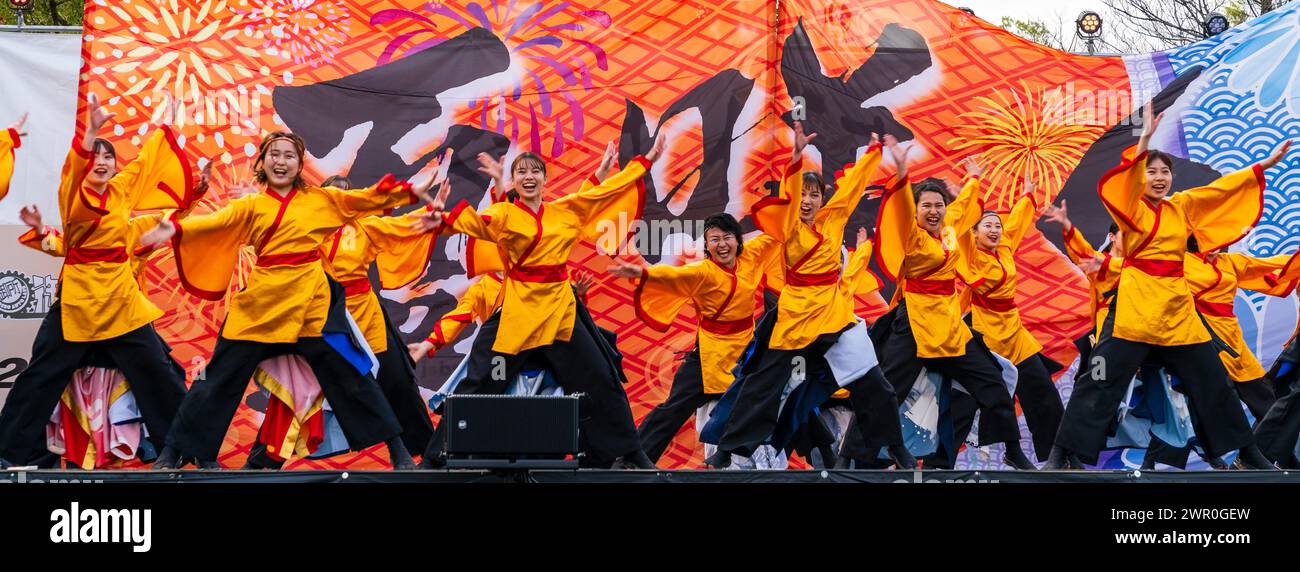 Japanese teenage women Yosakoi dance team in orange yukata and black ...