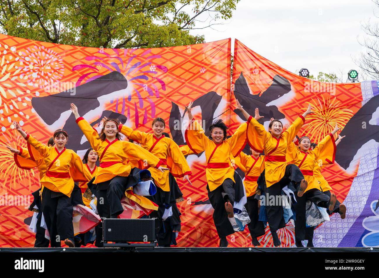 Japanese teenage women Yosakoi dance team in orange yukata and black ...