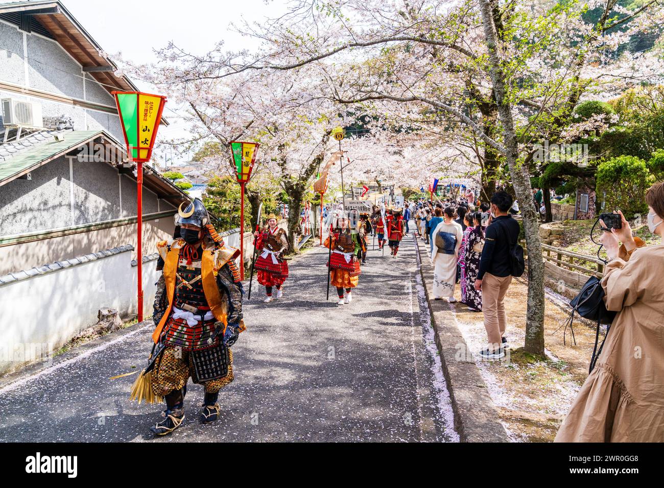 Tatsuno samurai parade under cherry blossom trees with a samurai ...