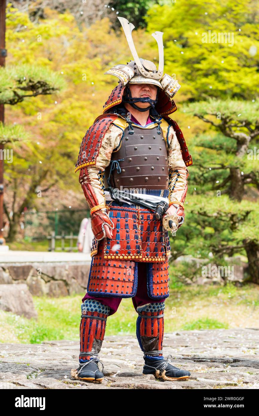 Japanese man standing in mauve colour samurai armour in the Honmaru ...