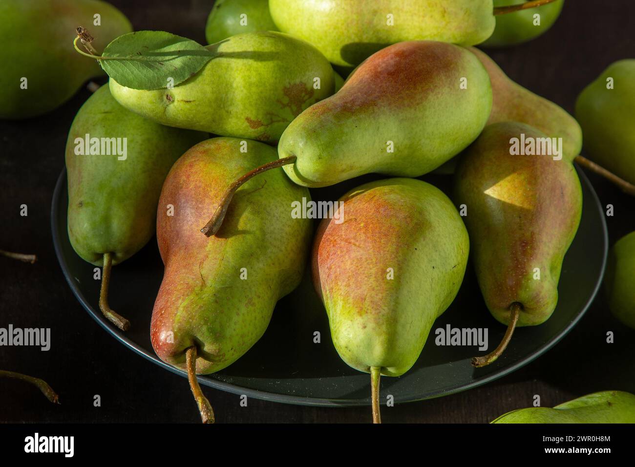 Parisian pear variety. Fruits on the table. Autumn harvest. Pears top ...