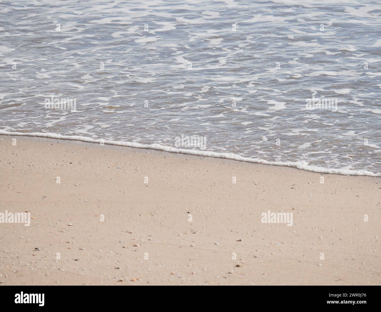 White sand beach shore wave background with small shells Stock Photo ...