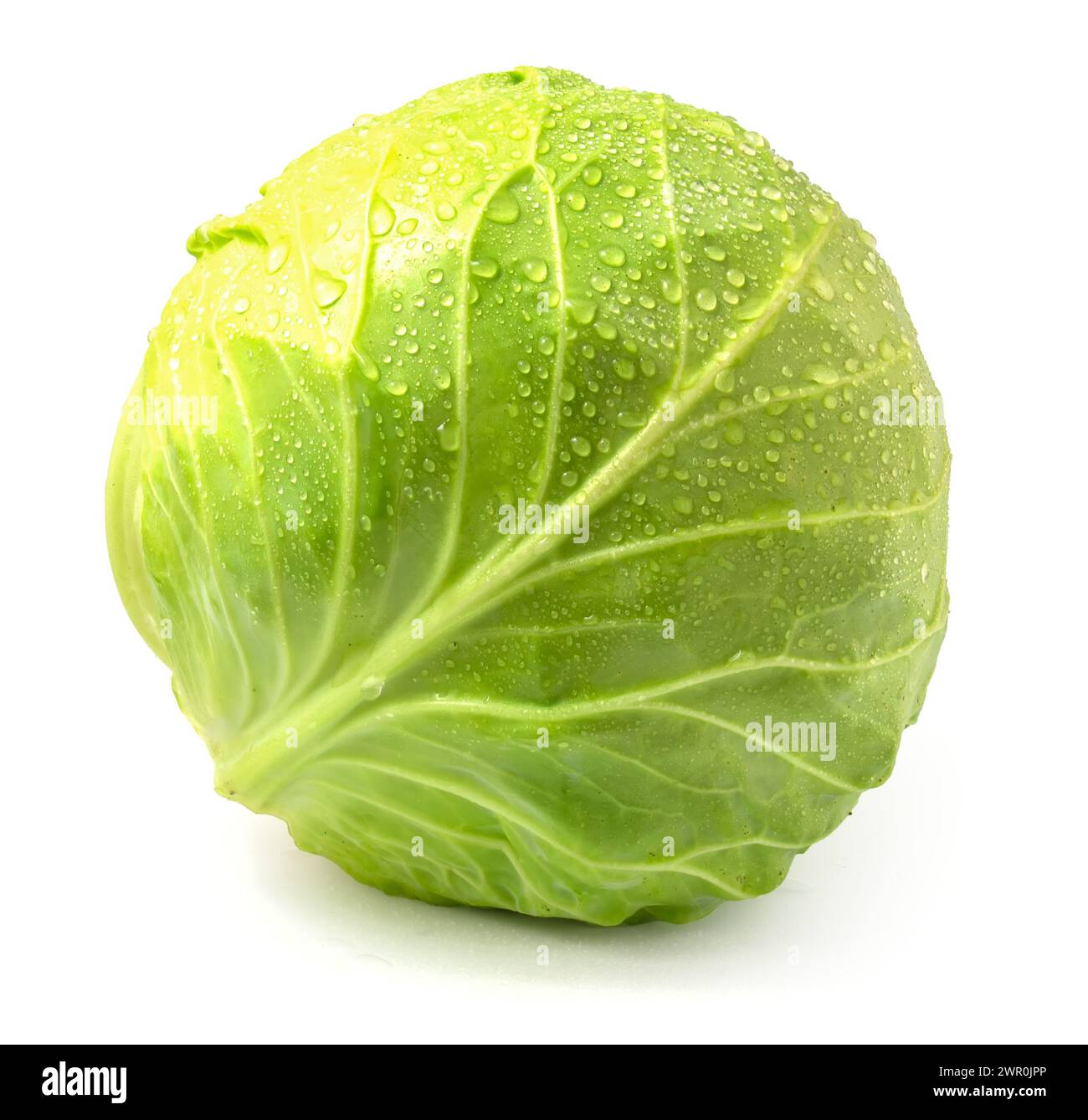 Fresh white cabbage isolated on white background Stock Photo - Alamy