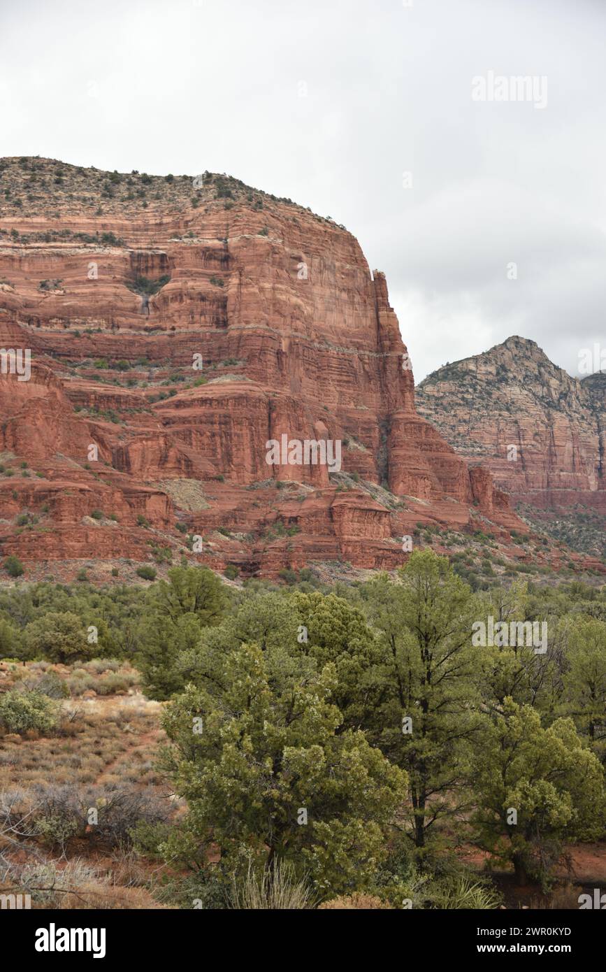 Sedona, AZ. U.S.A. 2/3/2024. Sedona Arizona is home to beautiful red ...