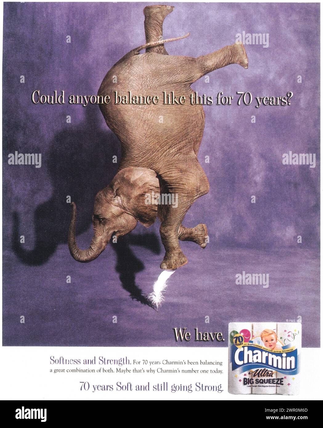 Charmin Toilet Paper Stock Symbol at Rosendo Reynoso blog