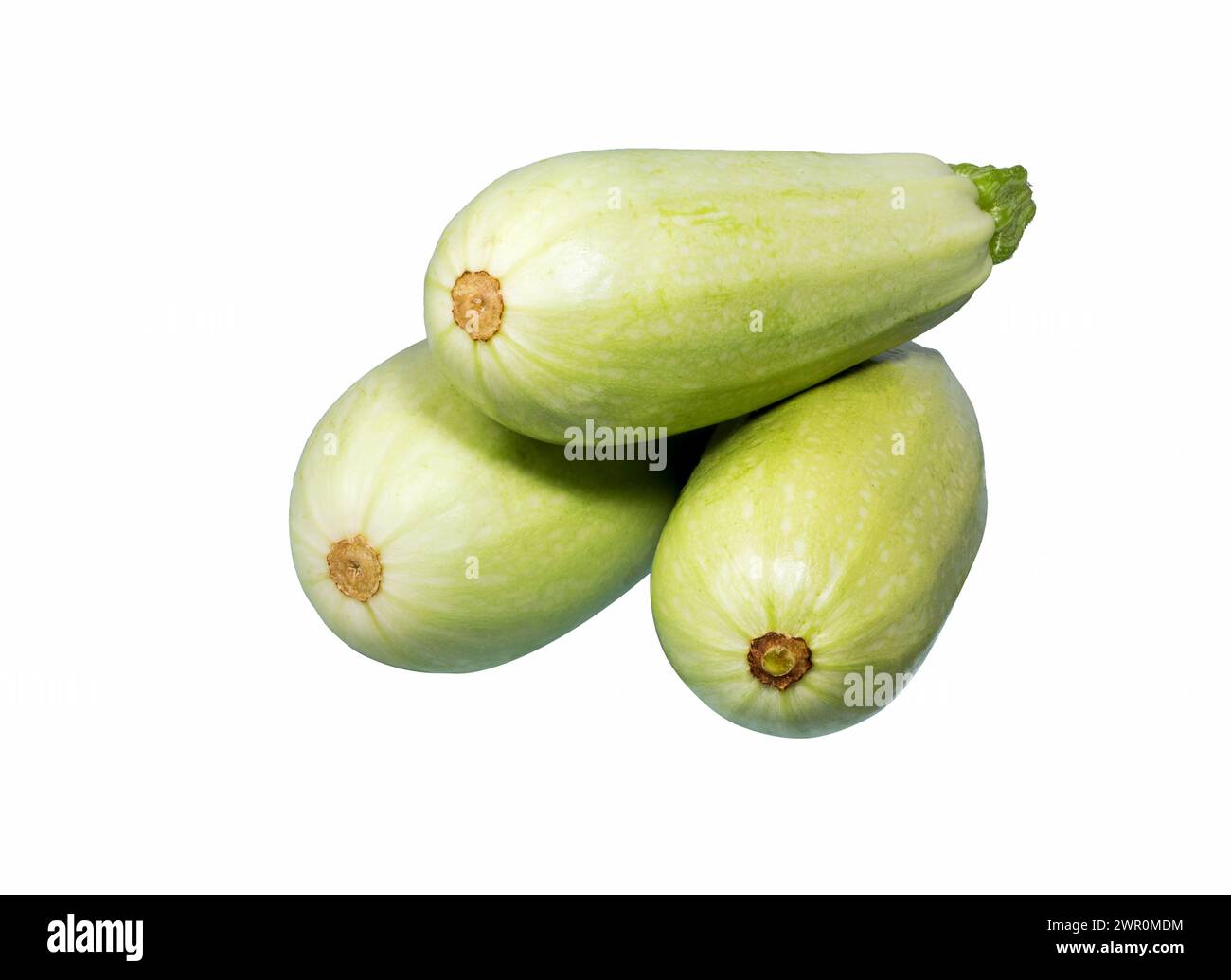 Zucchini isolated. Zucchini or courgettes , or vegetable marrow ...