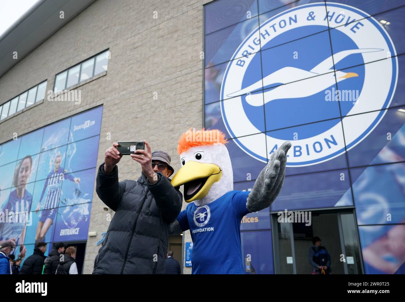 Brighton and hove albion mascot hi-res stock photography and images - Alamy