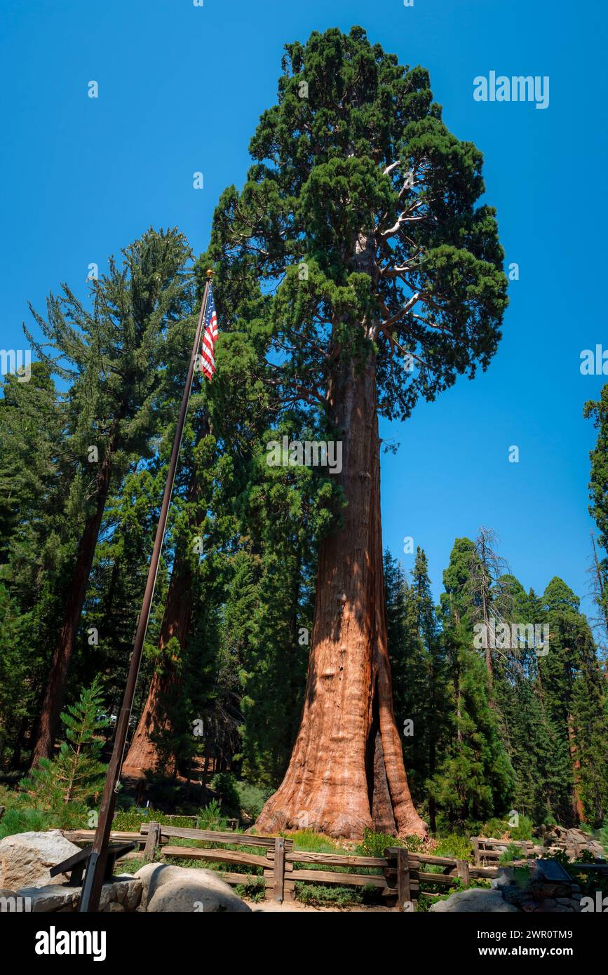 General view national flag hi-res stock photography and images - Alamy