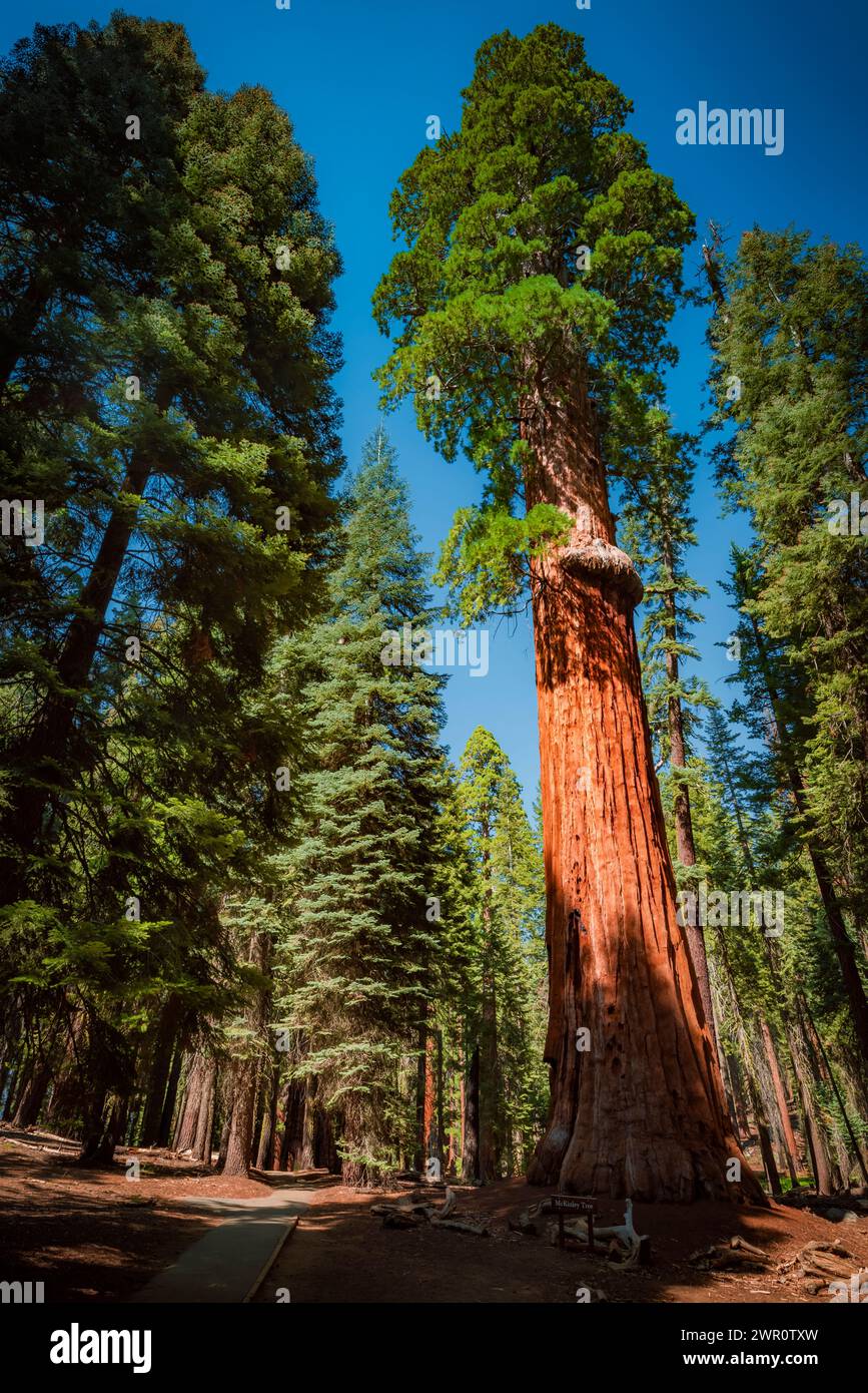Mckinley mountain california hi-res stock photography and images - Alamy