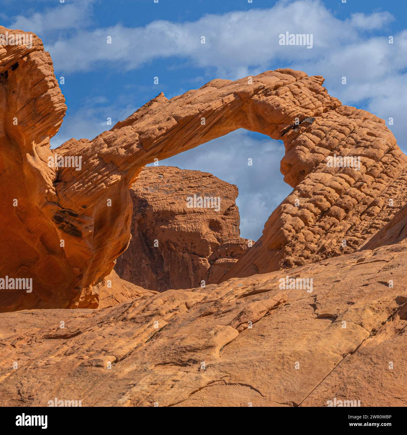 Valley of Fire State Park Nevada hike in sandstone rock formations ...